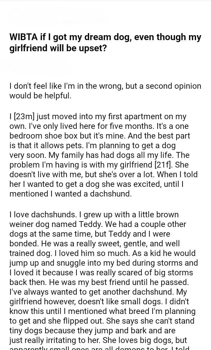 WIBTA if I got my dream dog, even though my girlfriend – DJOTD.com